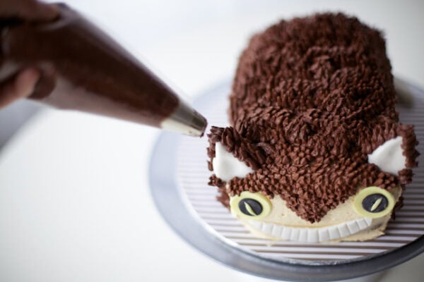 Totoro Week Gone Wild: How To Make A Catbus Cake